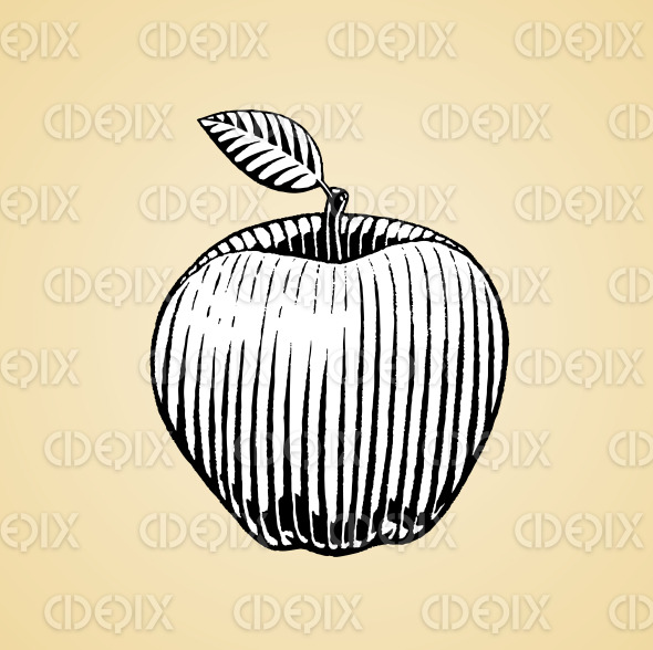 Ink Sketch of an Apple with White Fill | Cidepix